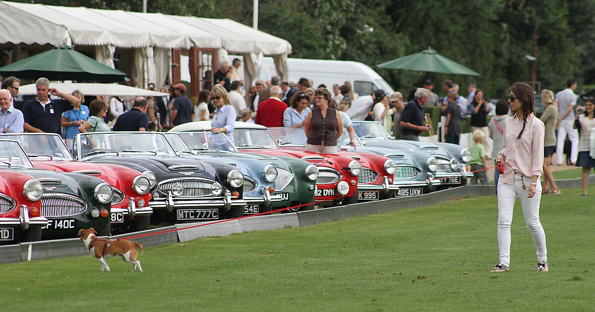 Ham Polo Club in London, UK | Tripomatic