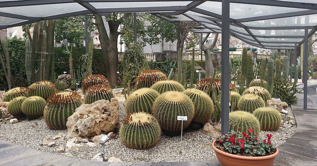 Botanical Garden in Catania