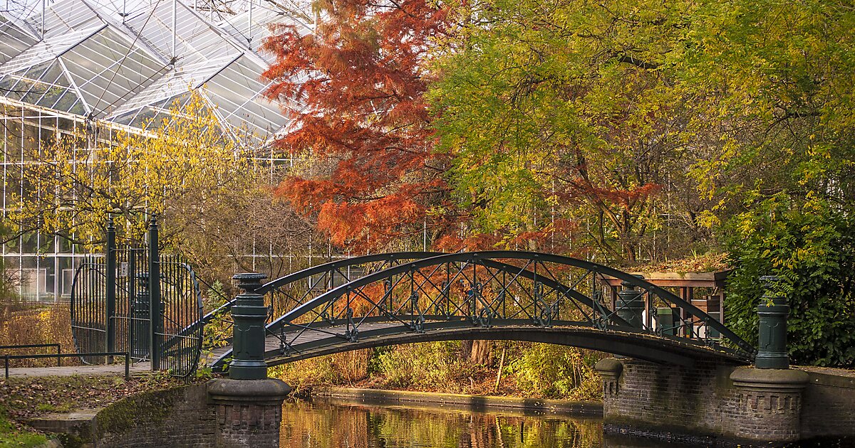Hortus Botanicus Botanical Garden in Centrum, Amsterdam, Netherlands ...