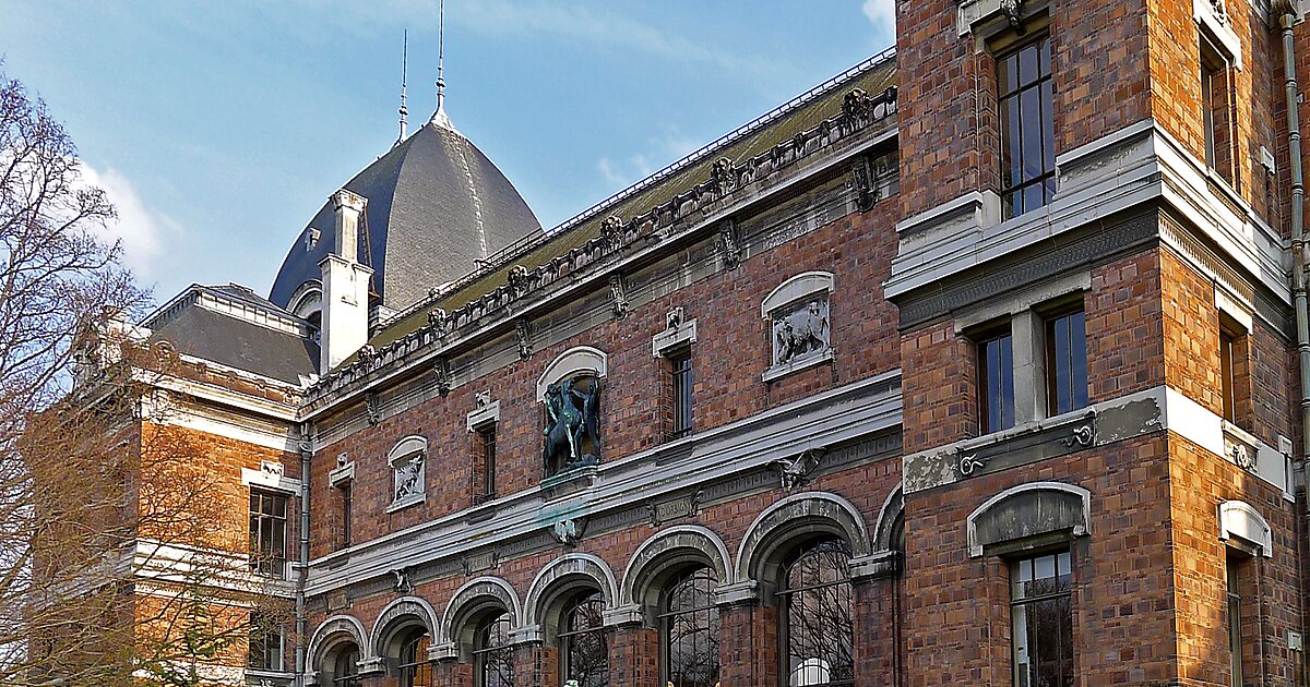 Galeries de Paléontologie et d'Anatomie comparée - 5e arrondissement de ...