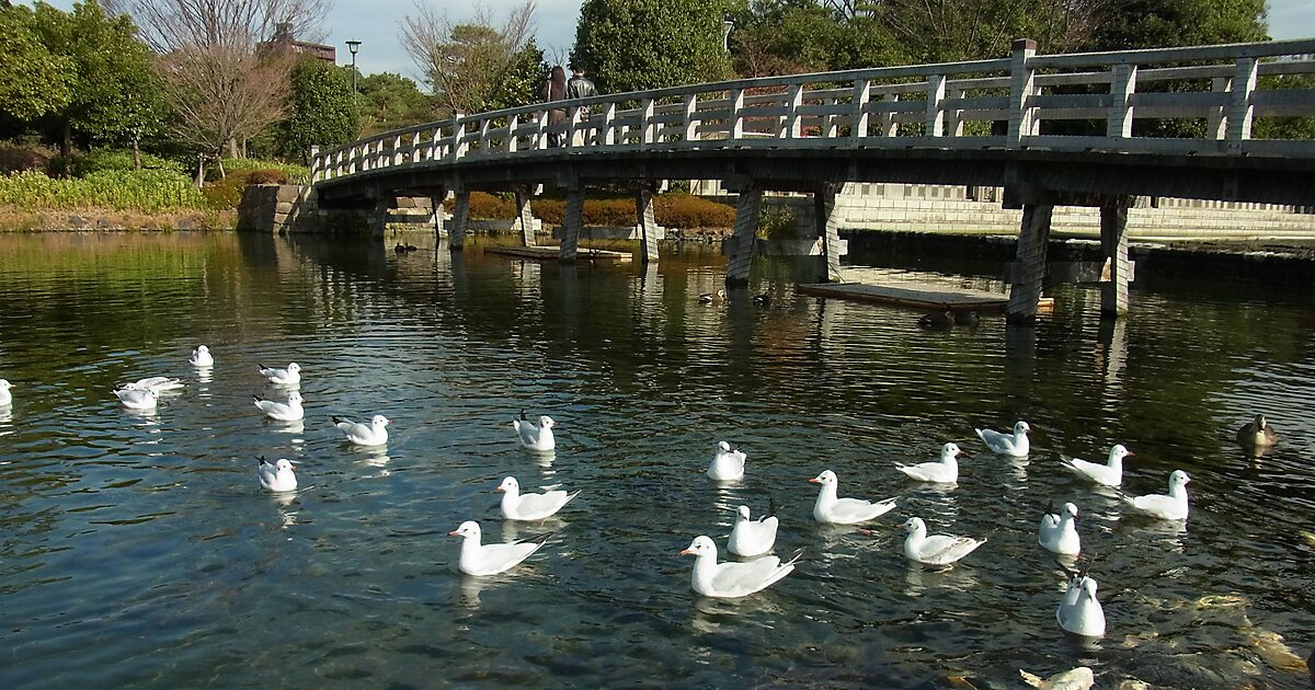 Shirotori Garden in Atsuta-ku, Nagoya, Japan | Tripomatic