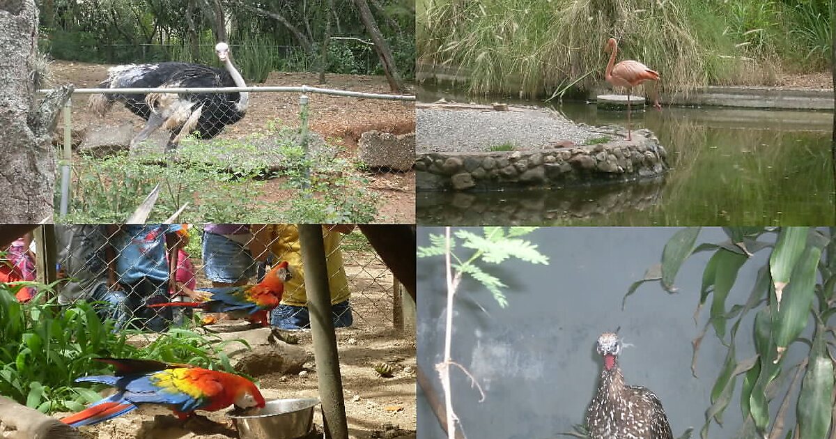 Bararida Zoological and Botanical Park in El Manzano, Venezuela ...