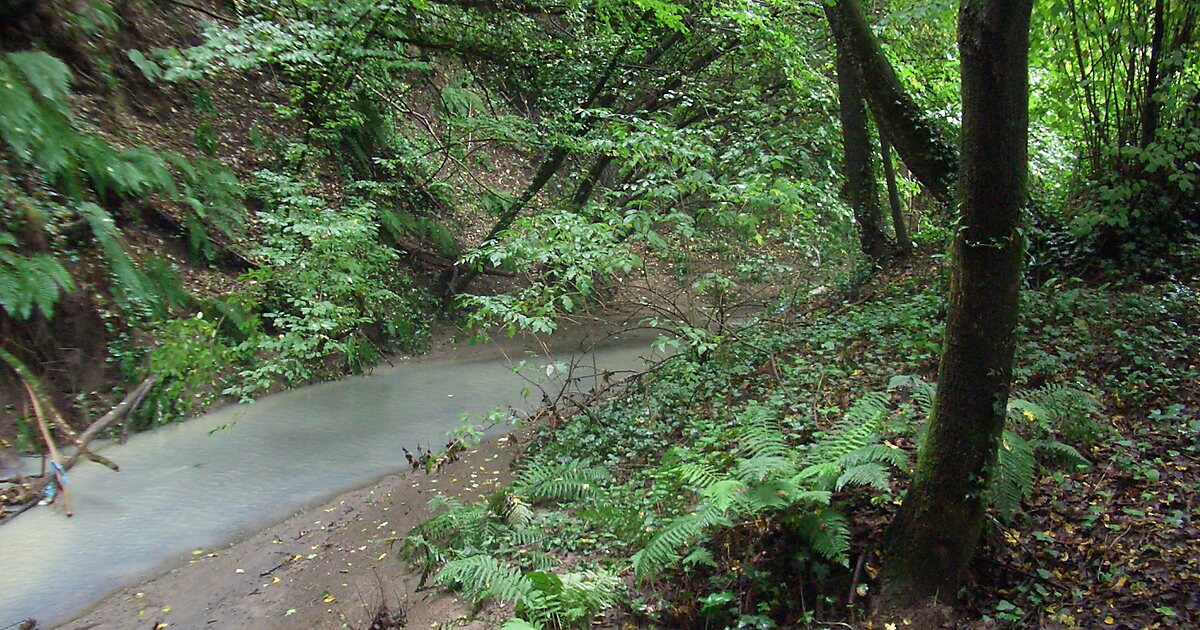 Veii in Isola Farnese, Italy | Tripomatic