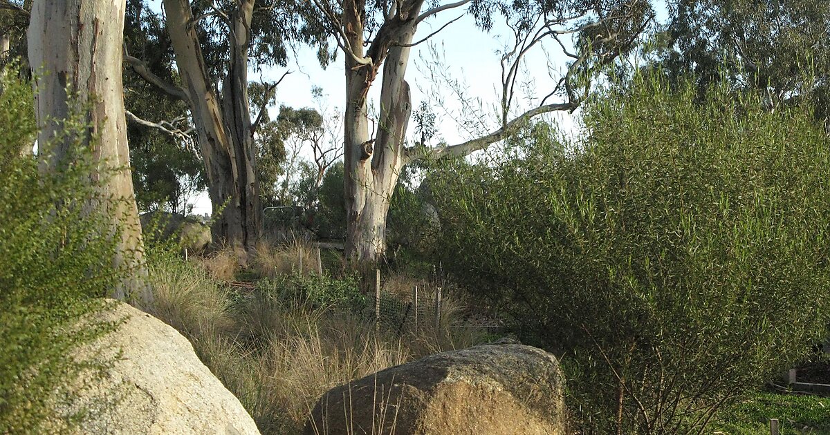 Westerfolds Park in Templestowe, Victoria, Melbourne, Australia ...