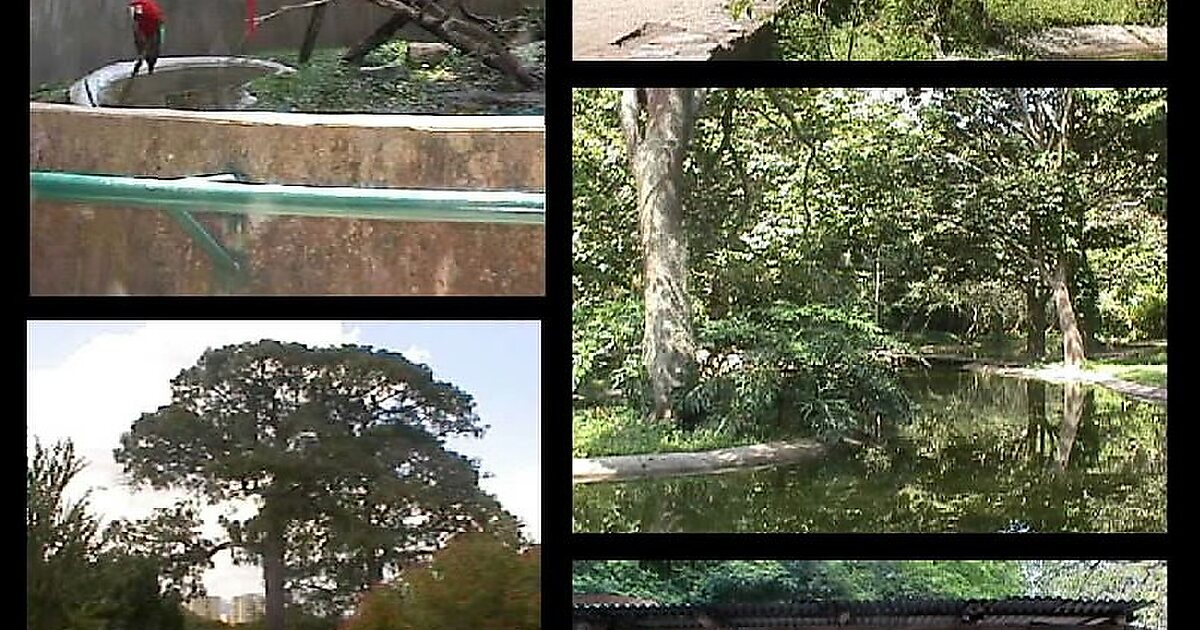 Caricuao Zoo in Caricuao, Caracas, Venezuela | Tripomatic