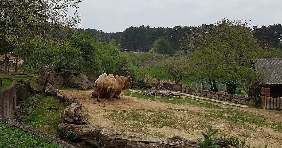 Bojnice Zoo in Bojnice, Slovakia | Tripomatic