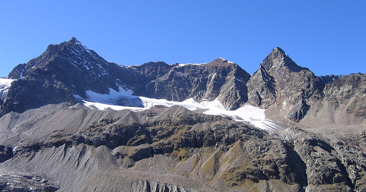 Schneeglocke in Alps, Österreich | Tripomatic