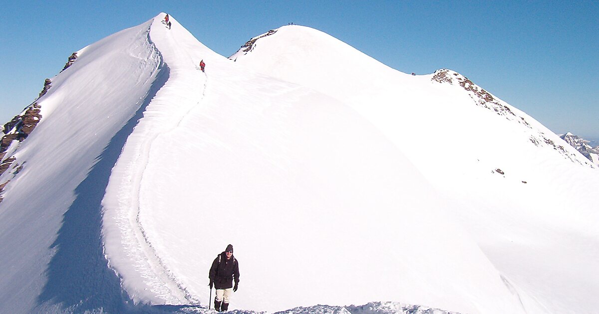 Castor in Alps, Italy | Tripomatic