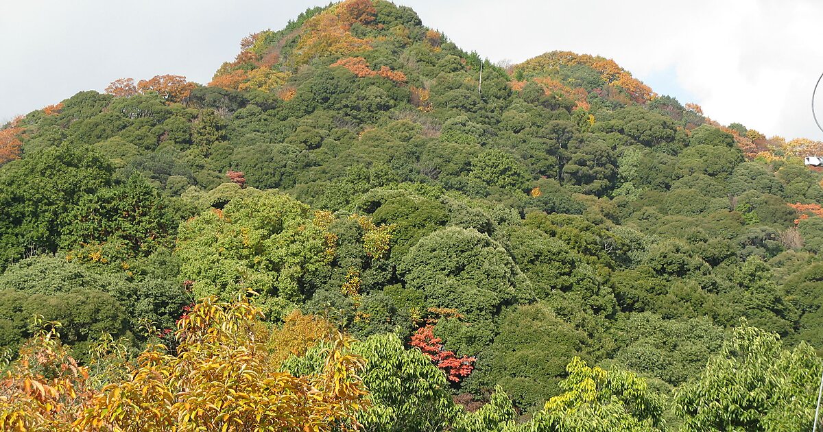 Mt. Shigisan in Kashiwara, Japan | Tripomatic
