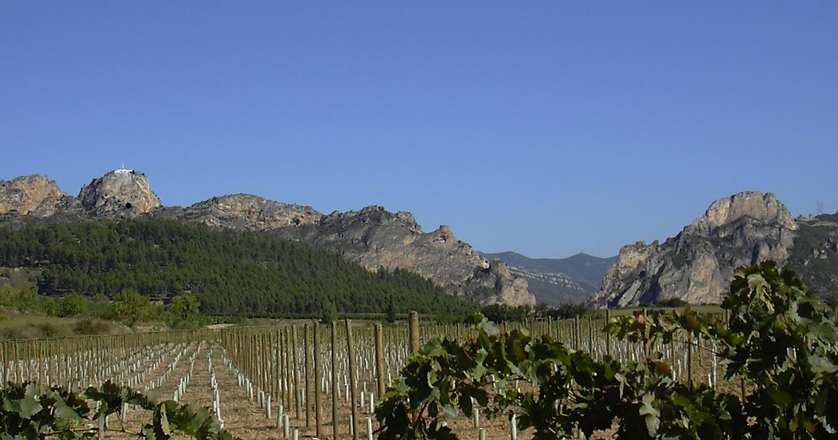 Las Conchas de Haro en Euskal Herria, España | Tripomatic