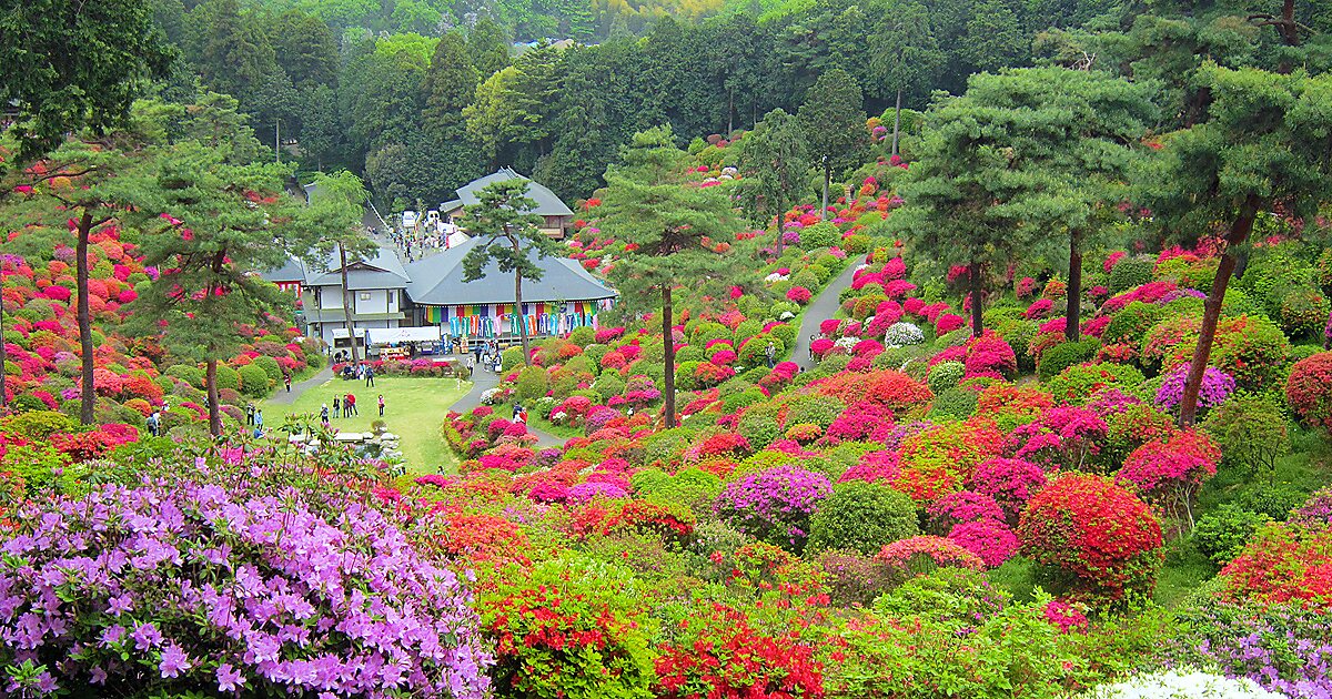 Joganji temple - 도쿄도, 일본 | Tripomatic