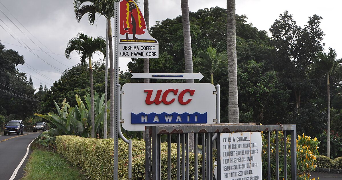 UCC Ueshima Coffee Co. - Tokyo, Japon | Tripomatic