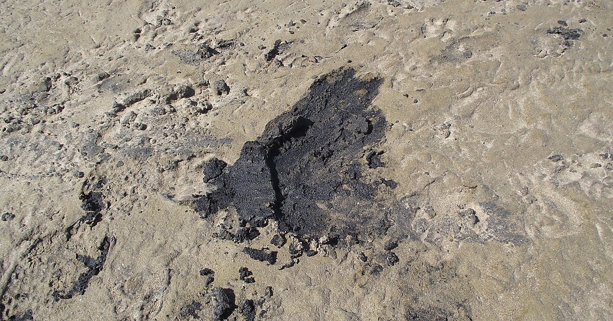 Sand engine in Monster, Netherlands | Tripomatic