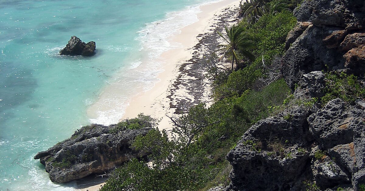 Isla de Mona in Mayagüez, Puerto Rico | Tripomatic