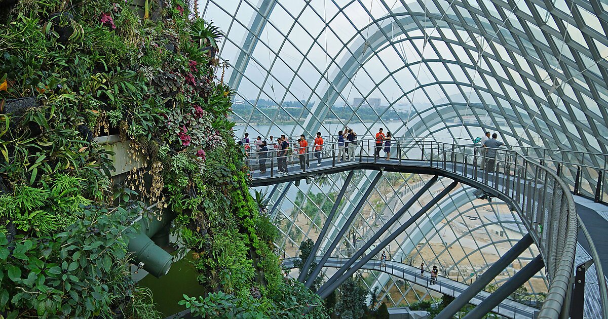Cloud Forest in Singapore | Tripomatic
