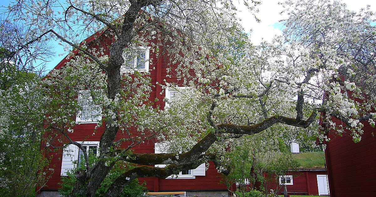 Linnaeus' Hammarby in Uppsala kommun, Sweden | Tripomatic