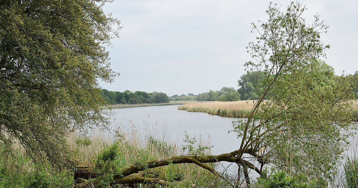 Alte Elbe zwischen Kannenberg und Berge in Deutschland | Tripomatic