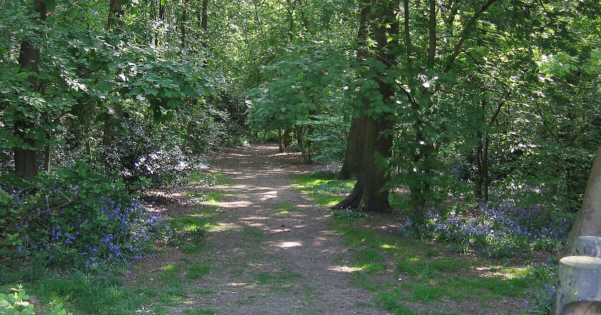 Palmers Rough Local Nature Reserve in Solihull, UK | Tripomatic