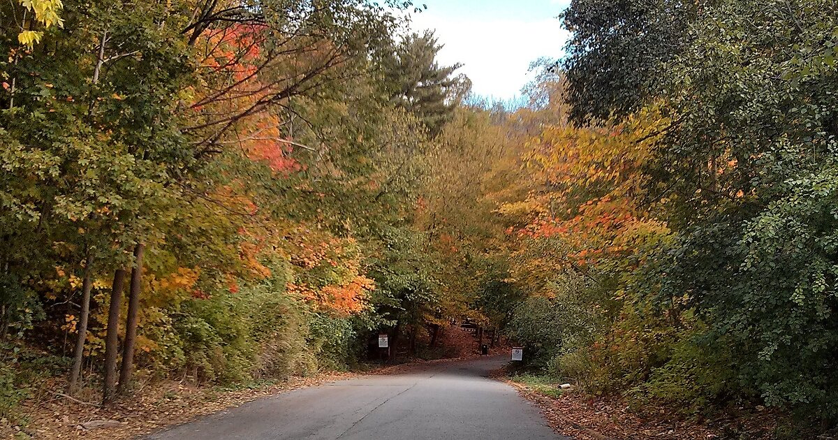 Sunnybrook Park in Don Valley West, Toronto | Tripomatic