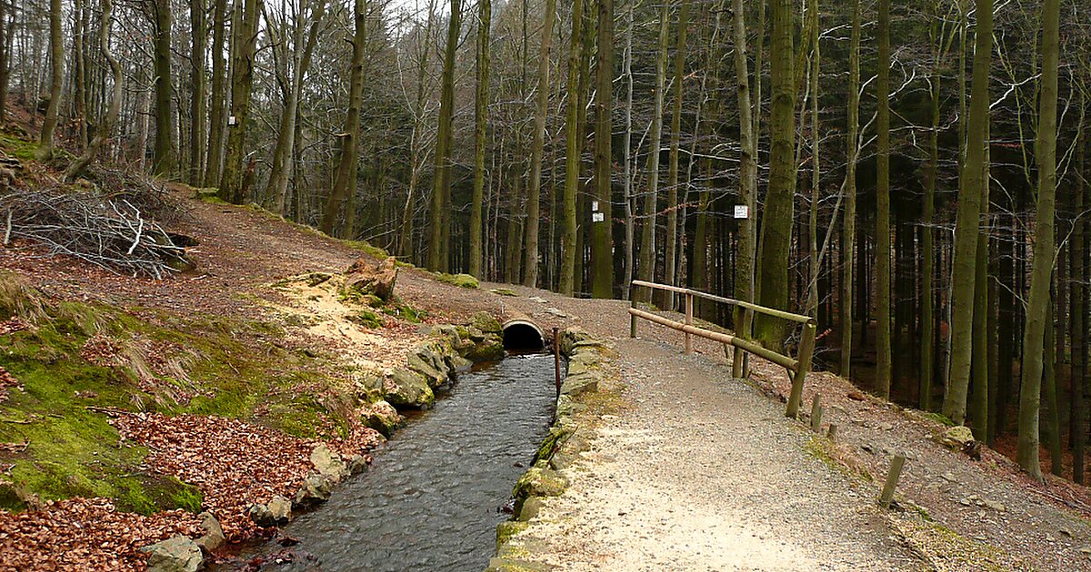 Radau in Bad Harzburg, Deutschland | Tripomatic