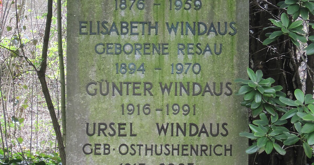 Adolf Windaus in Weststadt, Göttingen, Deutschland | Tripomatic