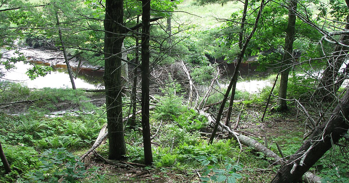 Rachel Carson National Wildlife Refuge in Kennebunk | Tripomatic