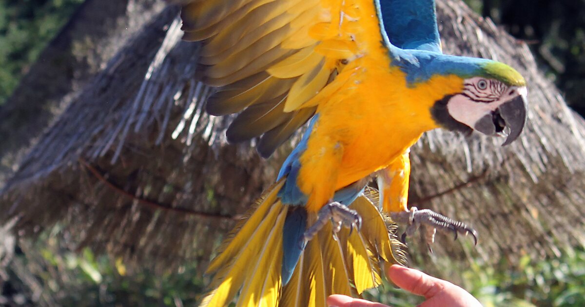 Vogelpark Heiligenkirchen