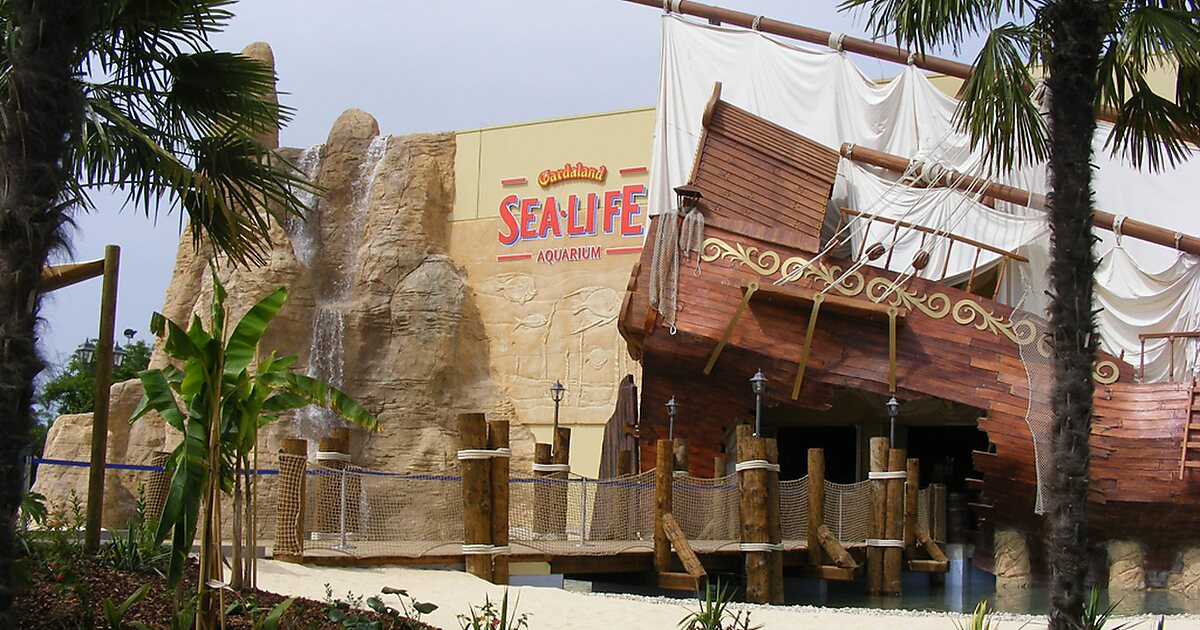 Sea Life Centres in Rome, Italy | Tripomatic