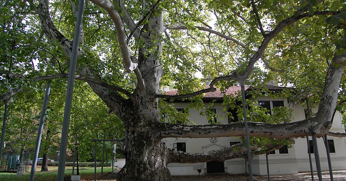 Topcider Park in New Belgrade