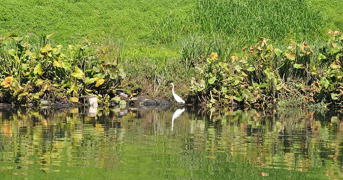 Rio Matanza-Riachuelo em | Tripomatic