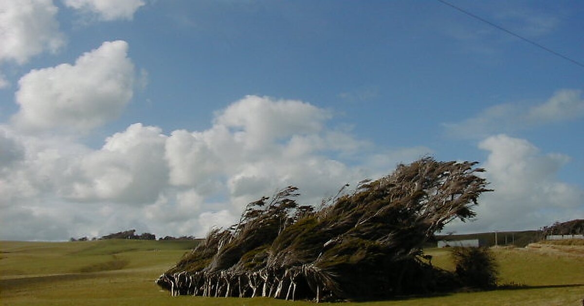 Slope Point in Southland Region, New Zealand | Tripomatic