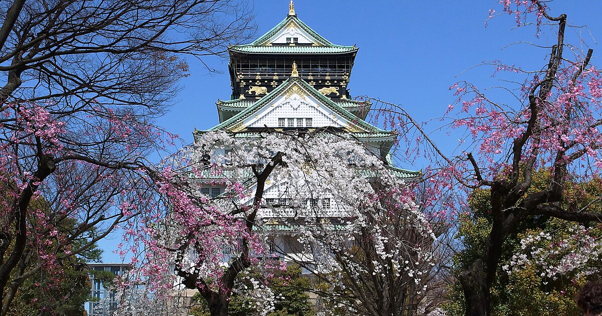 Osaka Castle in Chūō-ku, Osaka, Japan | Tripomatic