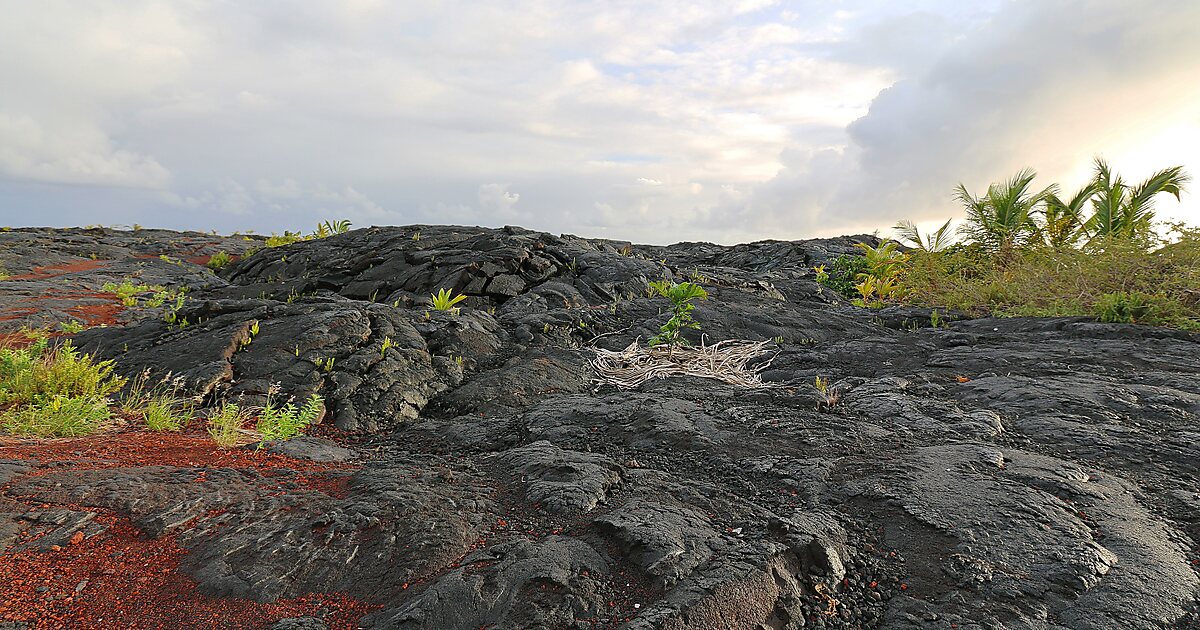 Kaimu Beach Park in Hawaii | Tripomatic