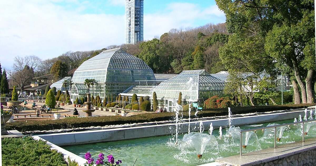 Zoológico y Jardín Botánico Higashima en Nagoya, Japón | Tripomatic