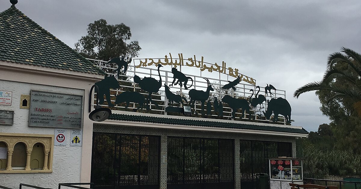 Tunis ZOO