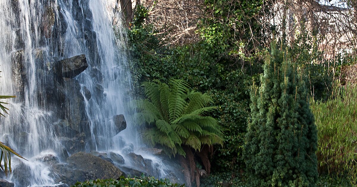 Iveagh Gardens