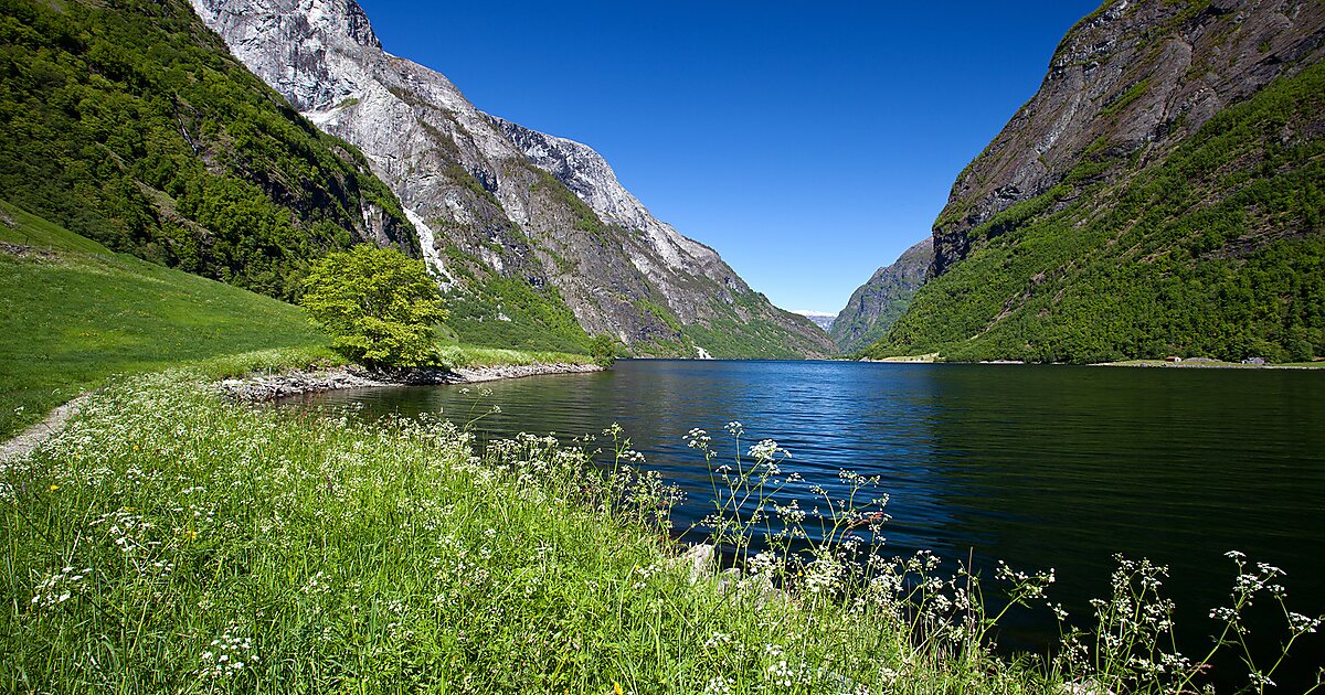Fiordo de Nærøy en Gudvangen, Noruega | Tripomatic