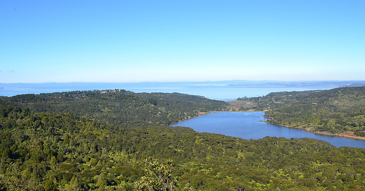 Waitakere Ranges in Auckland, New Zealand | Tripomatic
