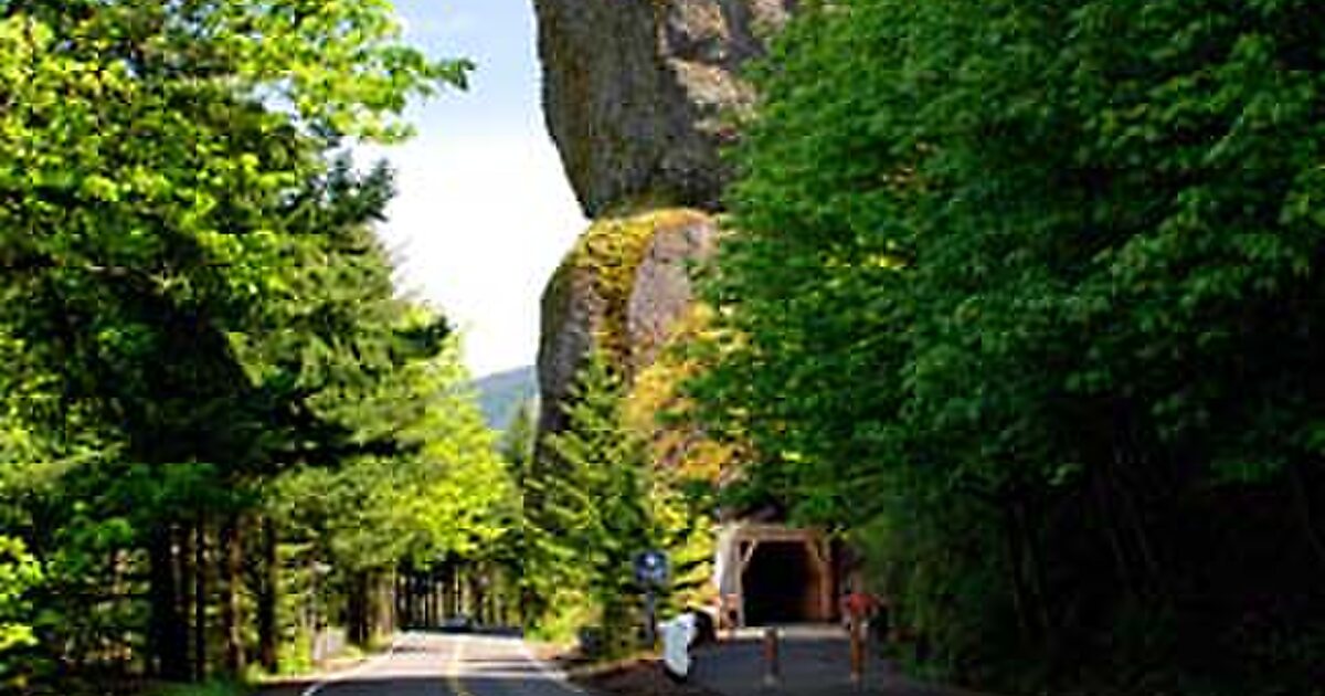 Oneonta Gorge in Oregon | Tripomatic