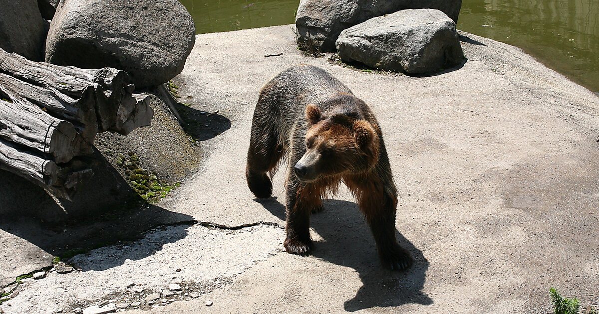 Sofia Zoo in Sofia, Bulgaria | Tripomatic