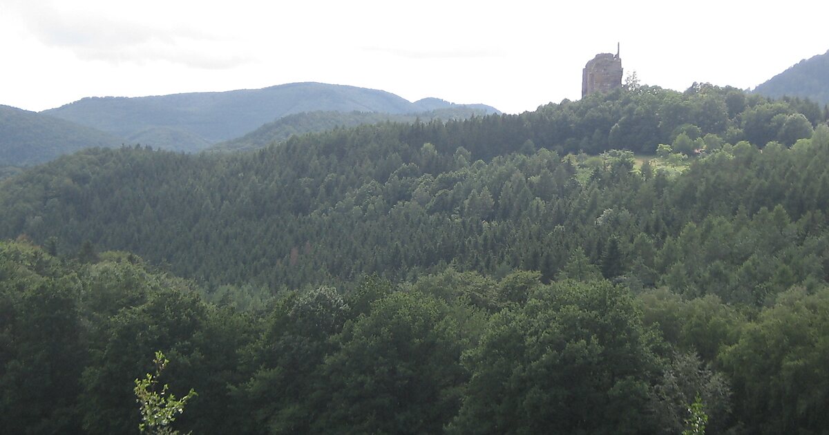 Parque natural regional de los Vosgos del Norte en Gran Este | Tripomatic