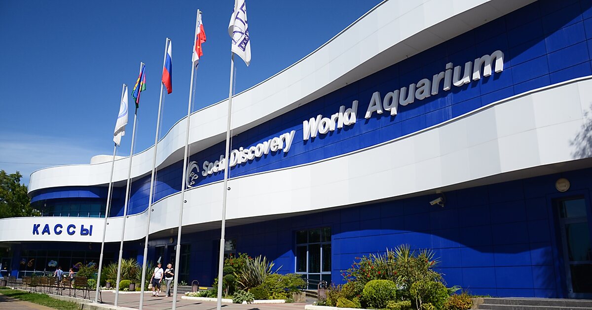 Sochi Discovery World Aquarium in Resort Town of Sochi (municipal ...