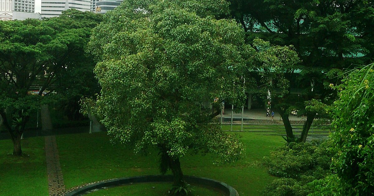 Singapore Management University In Singapore Tripomatic