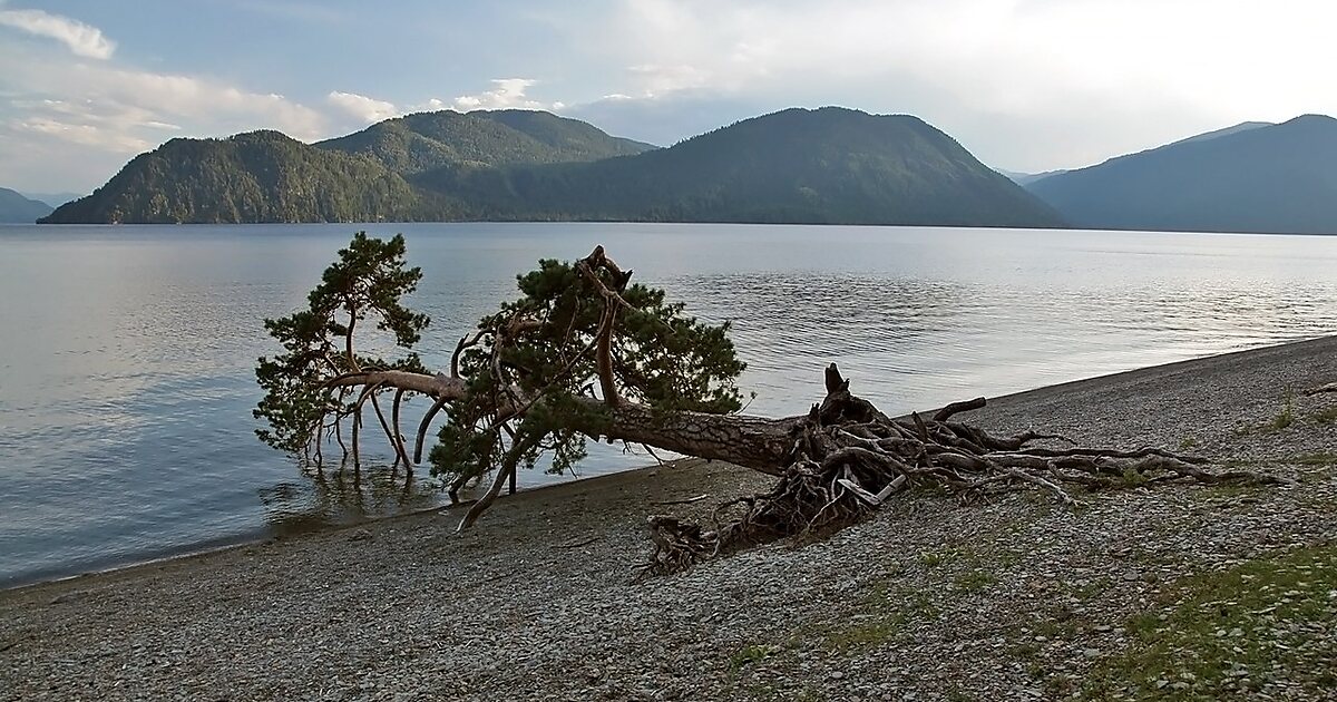 Lake Teletskoye in | Tripomatic