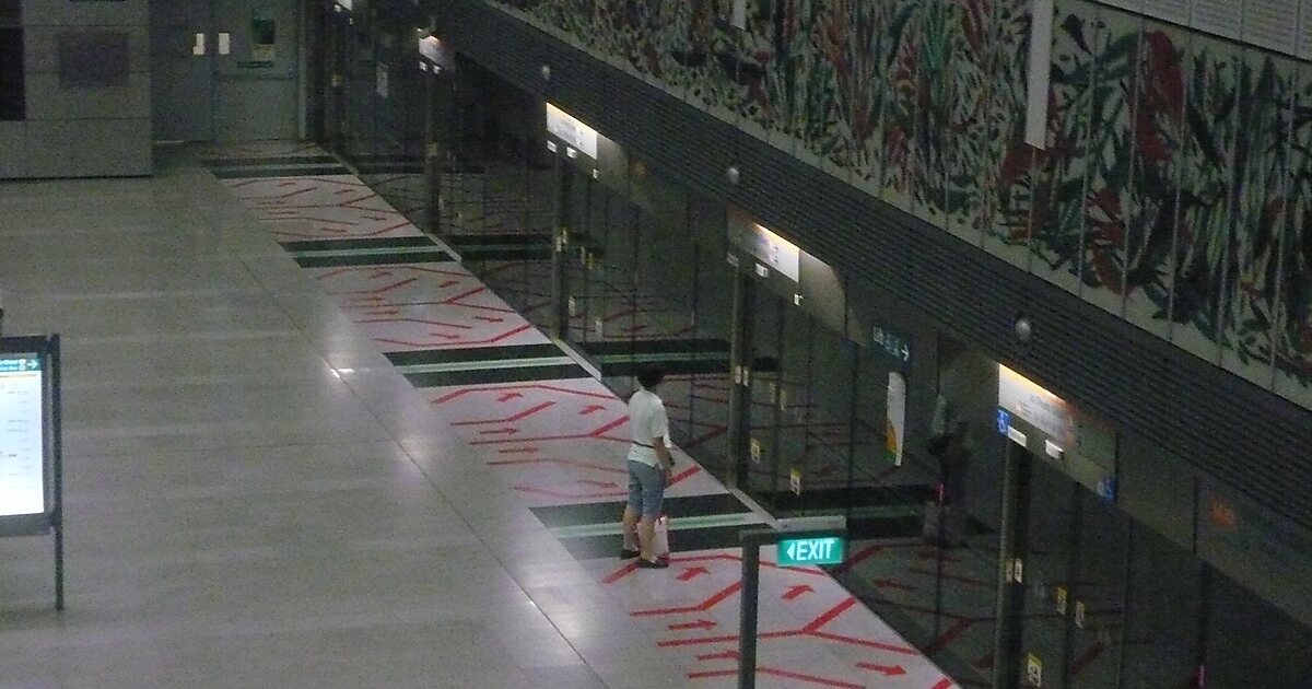 Botanic Gardens MRT station in Singapore | Tripomatic