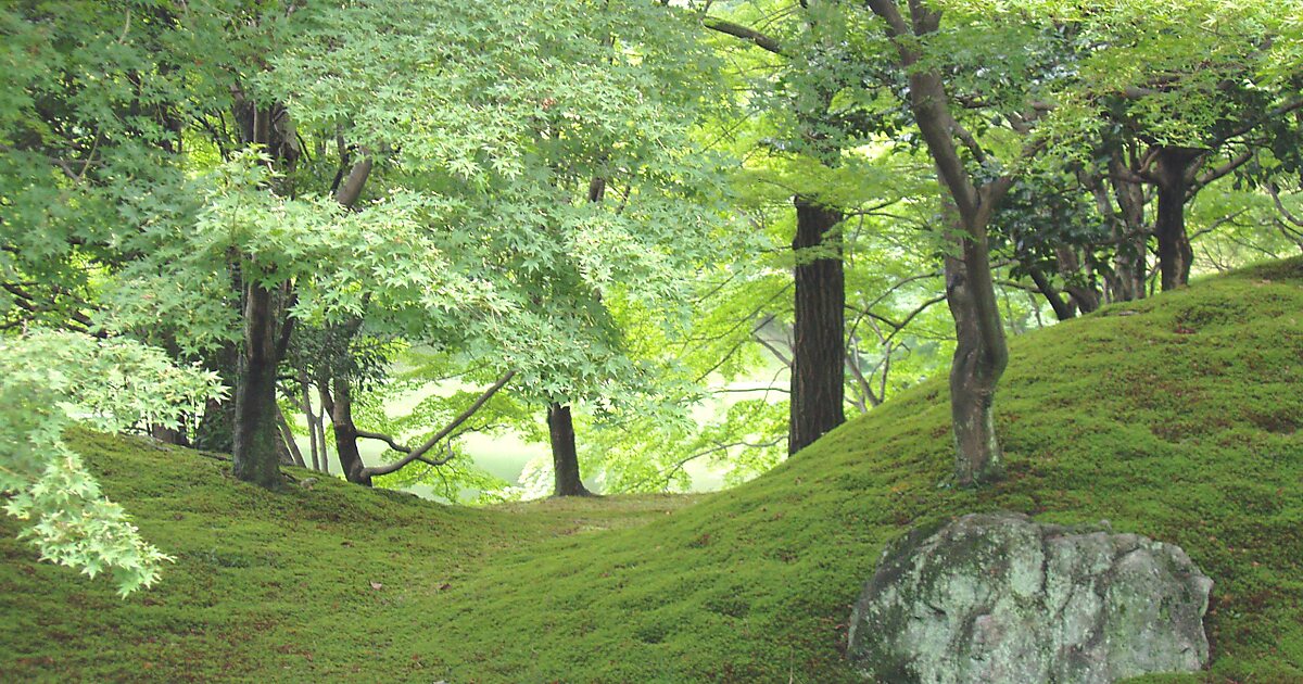 Sentō Imperial Palace in Kamigyō-ku, Kyoto, Japan | Sygic Travel