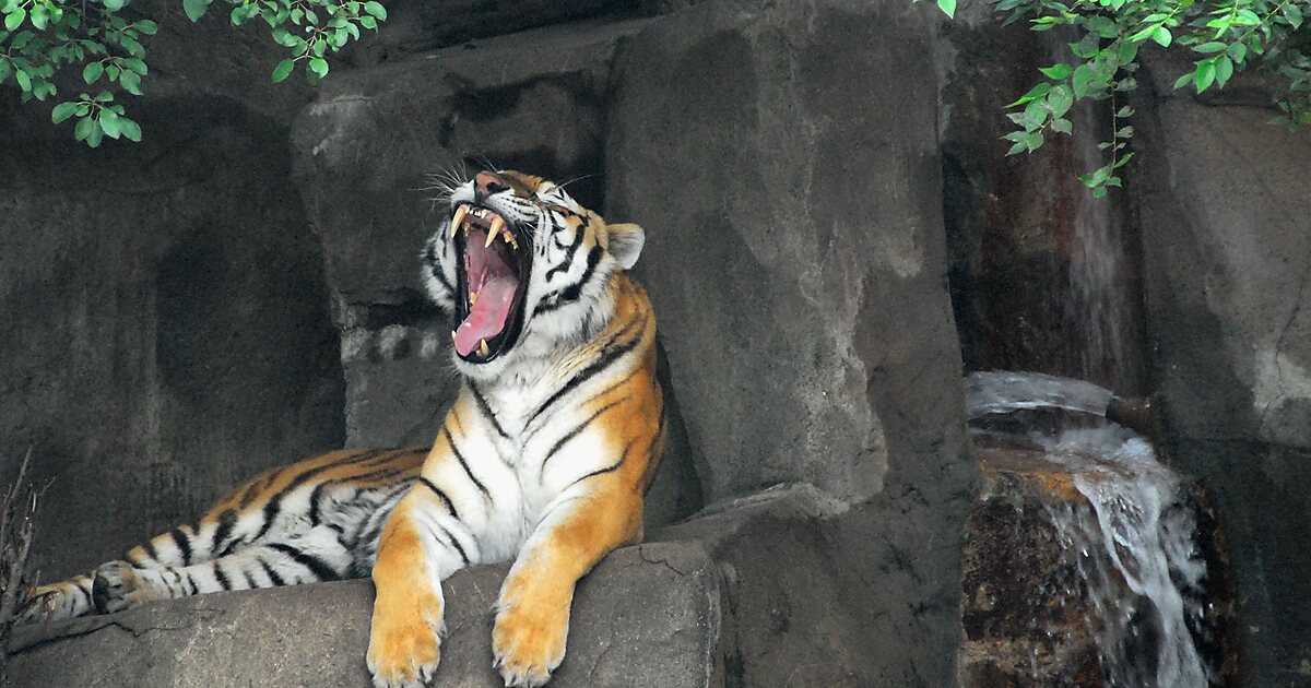 Brookfield Zoo