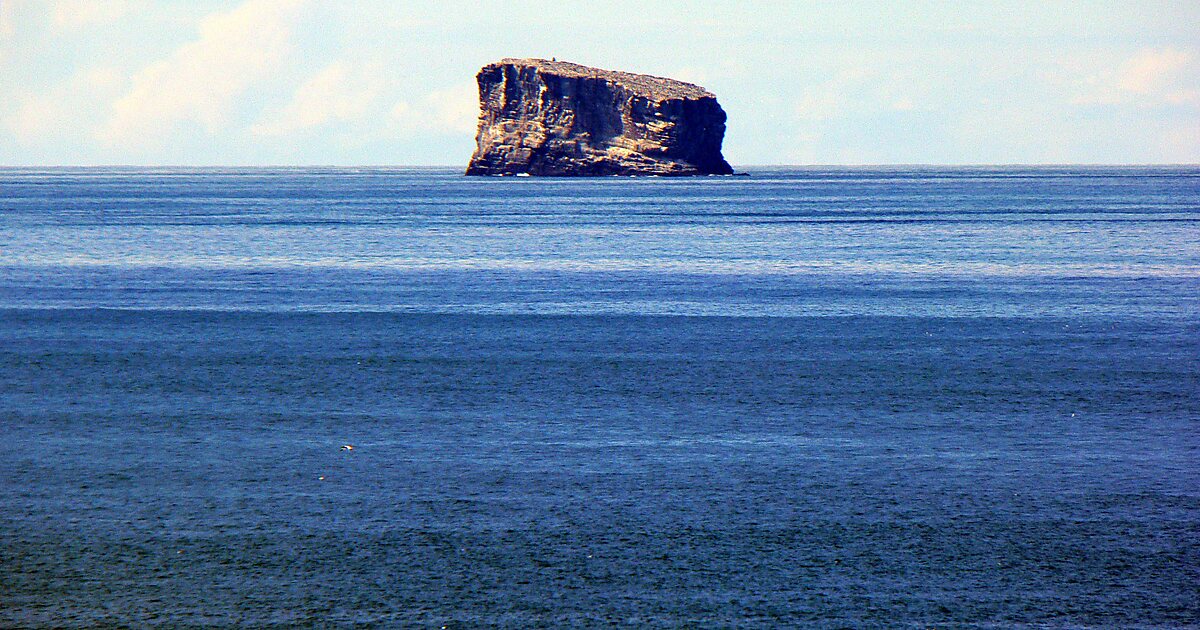 Eldey in Iceland | Tripomatic