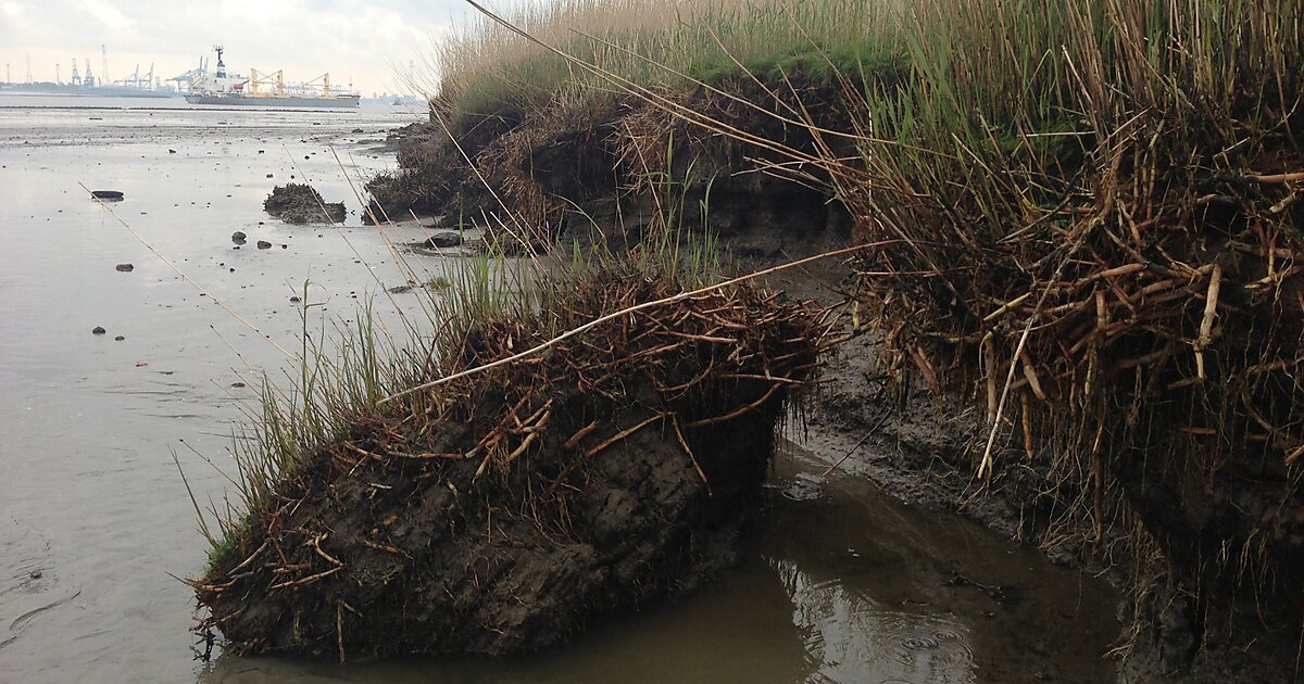 Western Scheldt in Zeeland, Netherlands | Tripomatic