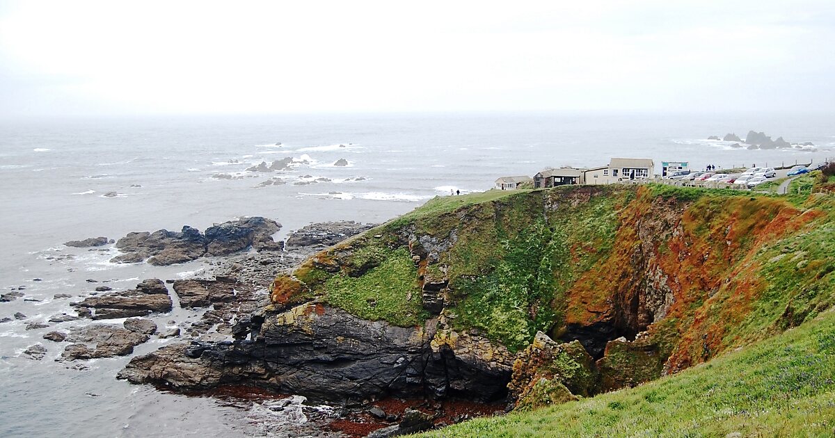 Lizard Point in Greater London, UK | Tripomatic